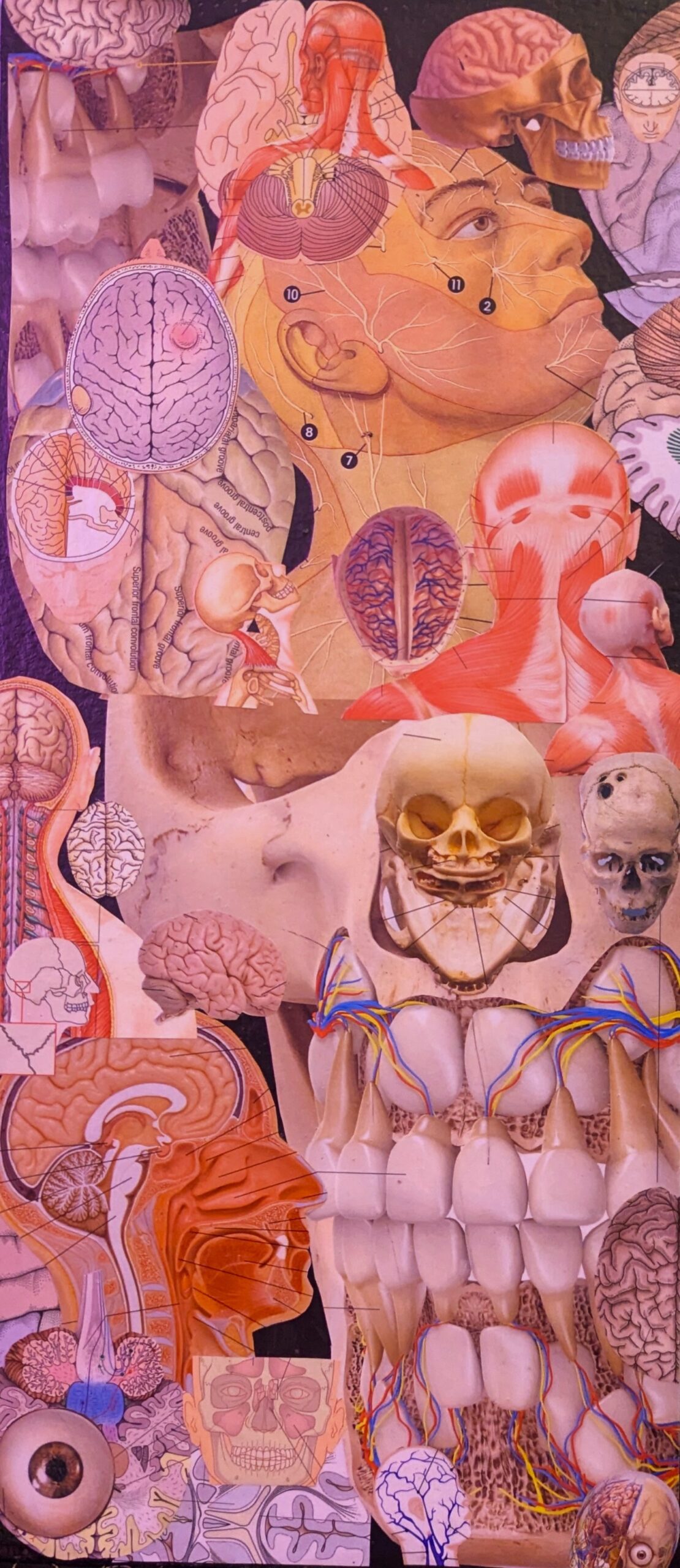 Who Are the Brain Police? – Roy Michael Mills – Shop Broward Art Guild