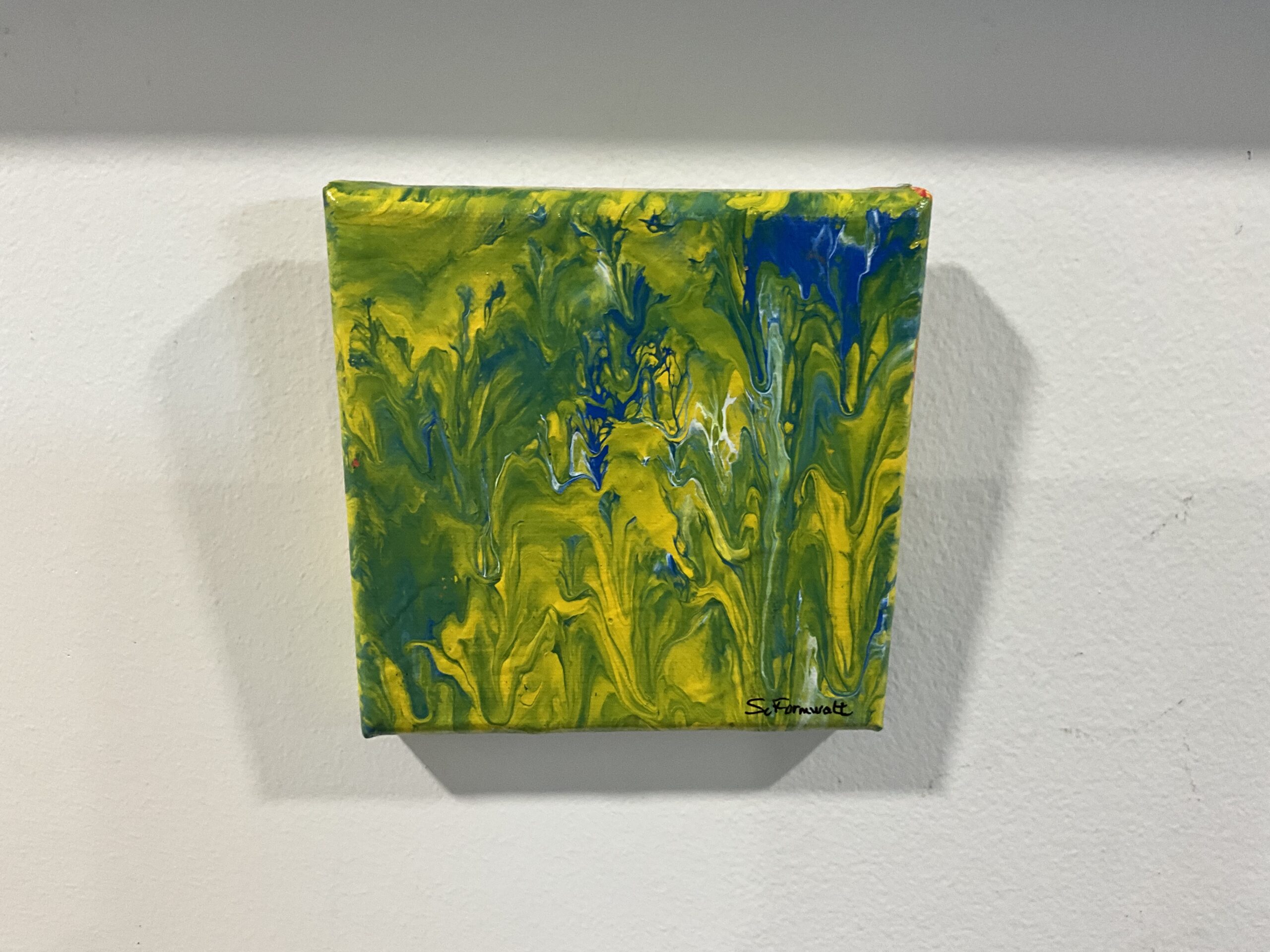 Wild Flower Field – Stephen Formwalt – Shop Broward Art Guild